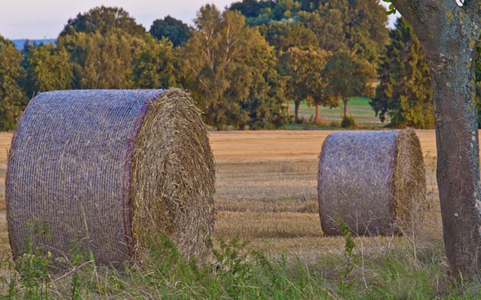 Soil and Climate Change Part 2 - Sustainable Macleod
