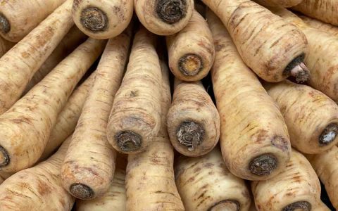 Growing perfect parsnips - Sustainable Macleod