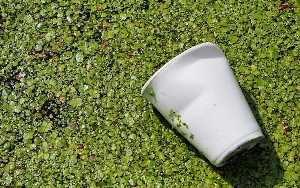 Polystyrene Waste - Sustainable Macleod